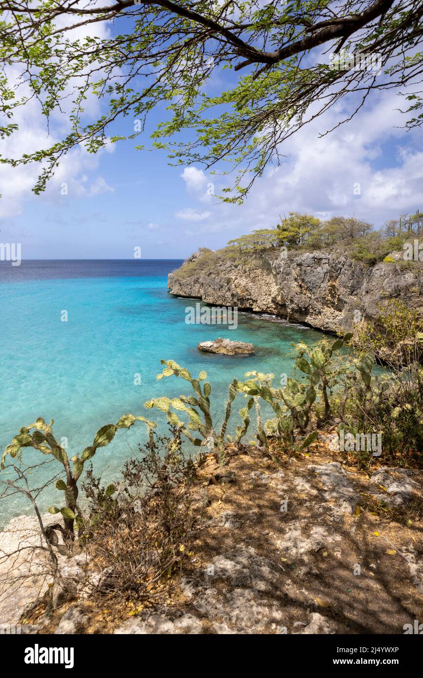 Holiday at Playa Jeremi on the Caribbean island Curacao Stock Photo - Alamy