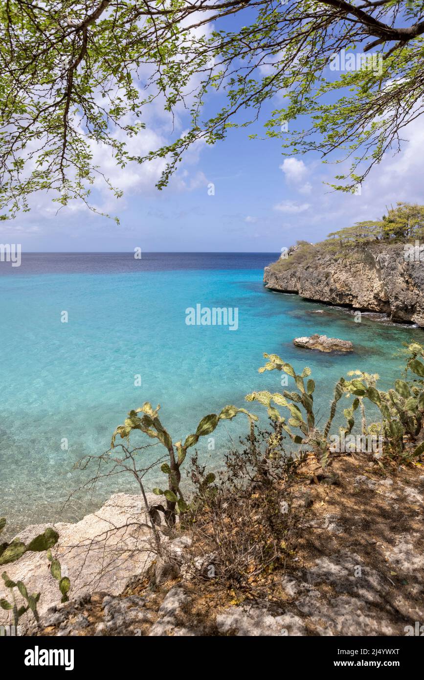 Holiday at Playa Jeremi on the Caribbean island Curacao Stock Photo - Alamy