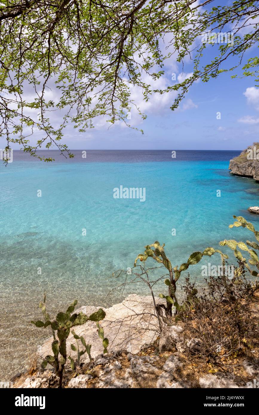 Holiday at Playa Jeremi on the Caribbean island Curacao Stock Photo - Alamy