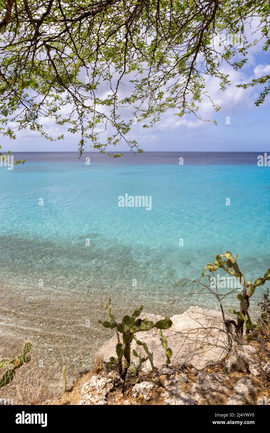 Holiday at Playa Jeremi on the Caribbean island Curacao Stock Photo - Alamy
