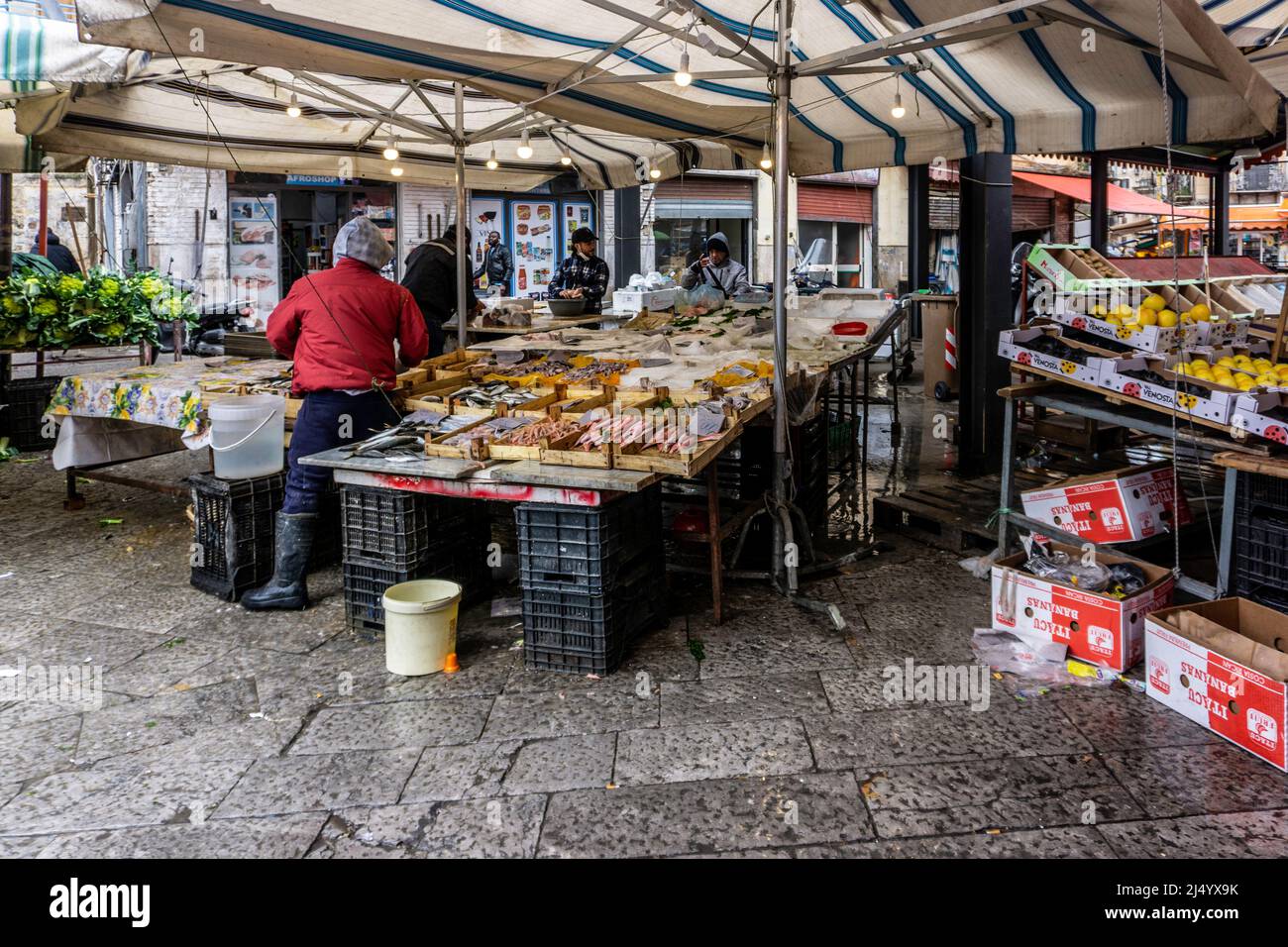 The open air market in Ballaró, Palermo, Sicily, Italy. Ballaró is the ...
