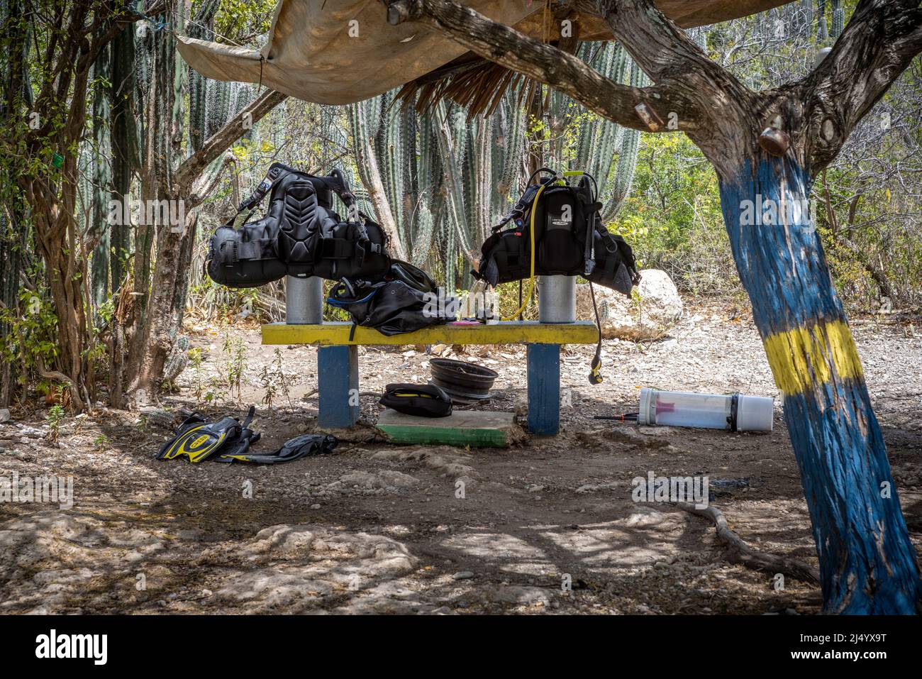 Diving gear on a painted bench in the shadow of a tree at Playa Jeremi ...