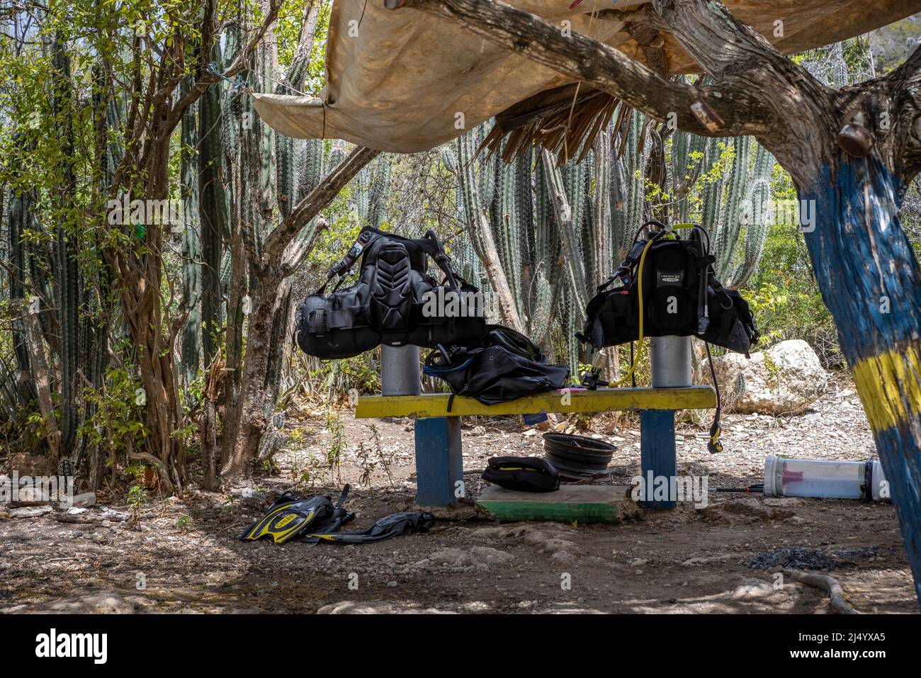 Diving gear on a painted bench in the shadow of a tree at Playa Jeremi ...
