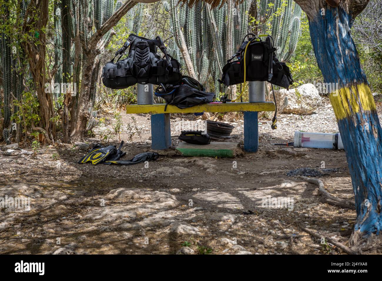 Diving gear on a painted bench in the shadow of a tree at Playa Jeremi ...