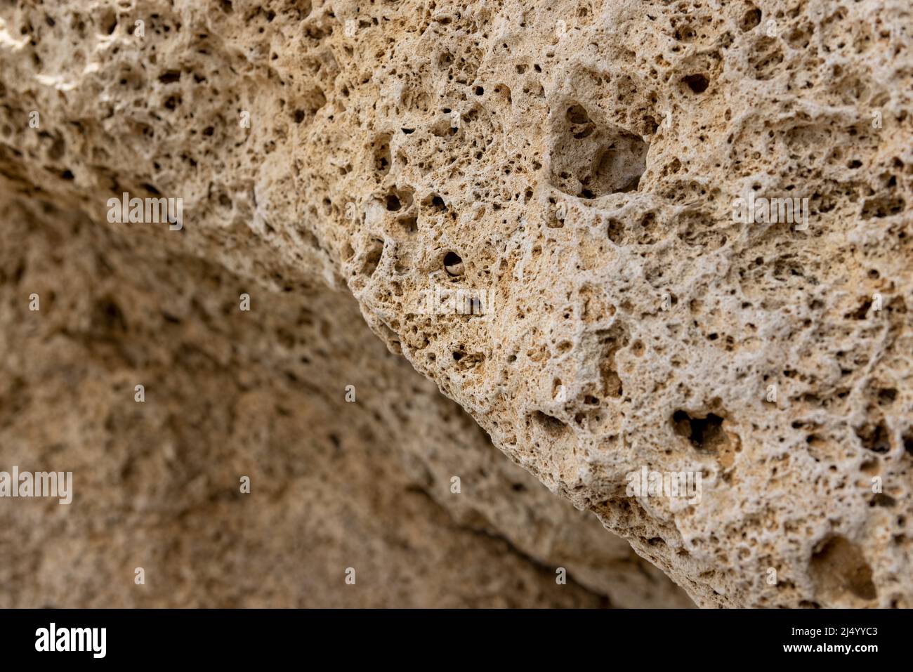Coral cliff at the shore of Playa Jeremi on the Caribbean island ...