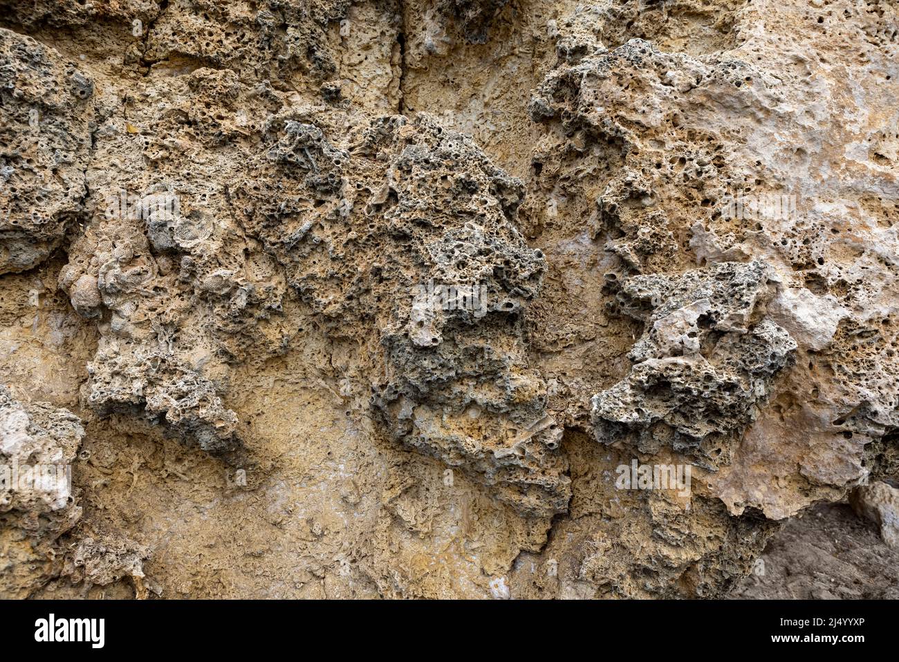 Coral playa hi-res stock photography and images - Alamy