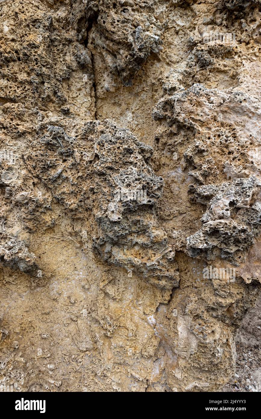 Coral cliff at the shore of Playa Jeremi on the Caribbean island ...