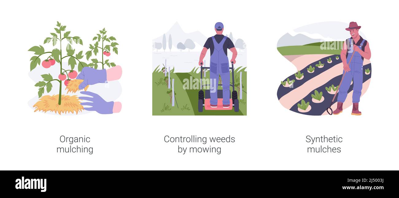 Weed management isolated cartoon vector illustrations set Stock Vector ...