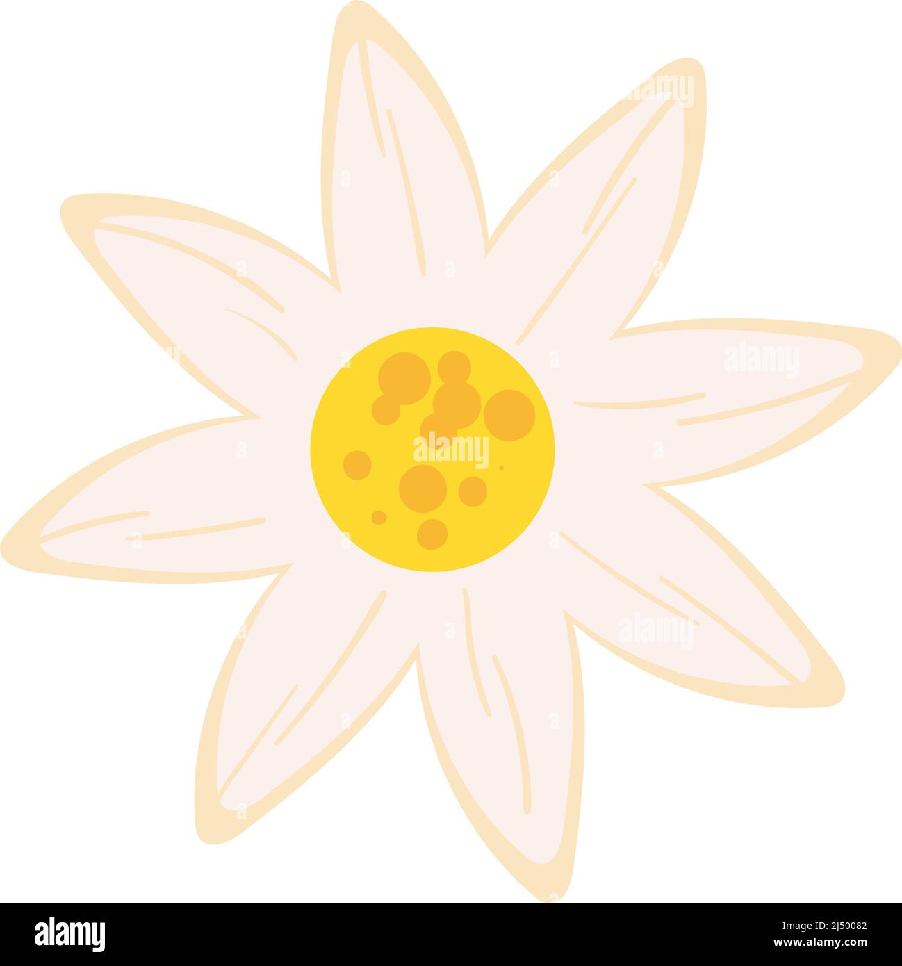 white flower illustration Stock Vector Image & Art - Alamy