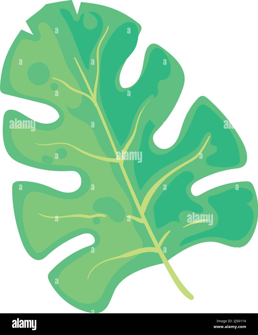 nice leaf design Stock Vector Image & Art - Alamy