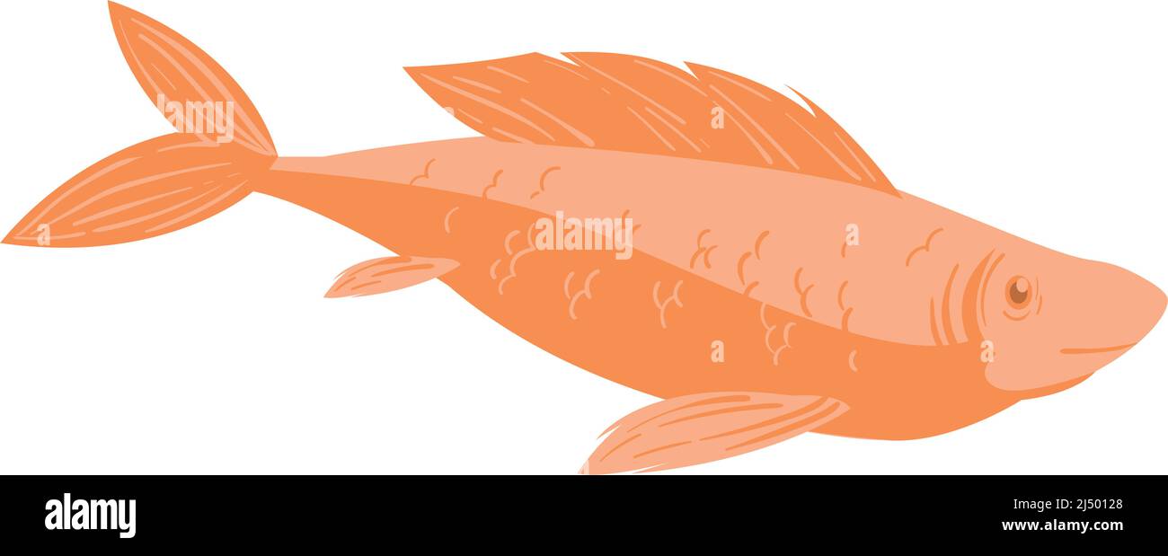 orange fish design Stock Vector Image & Art - Alamy