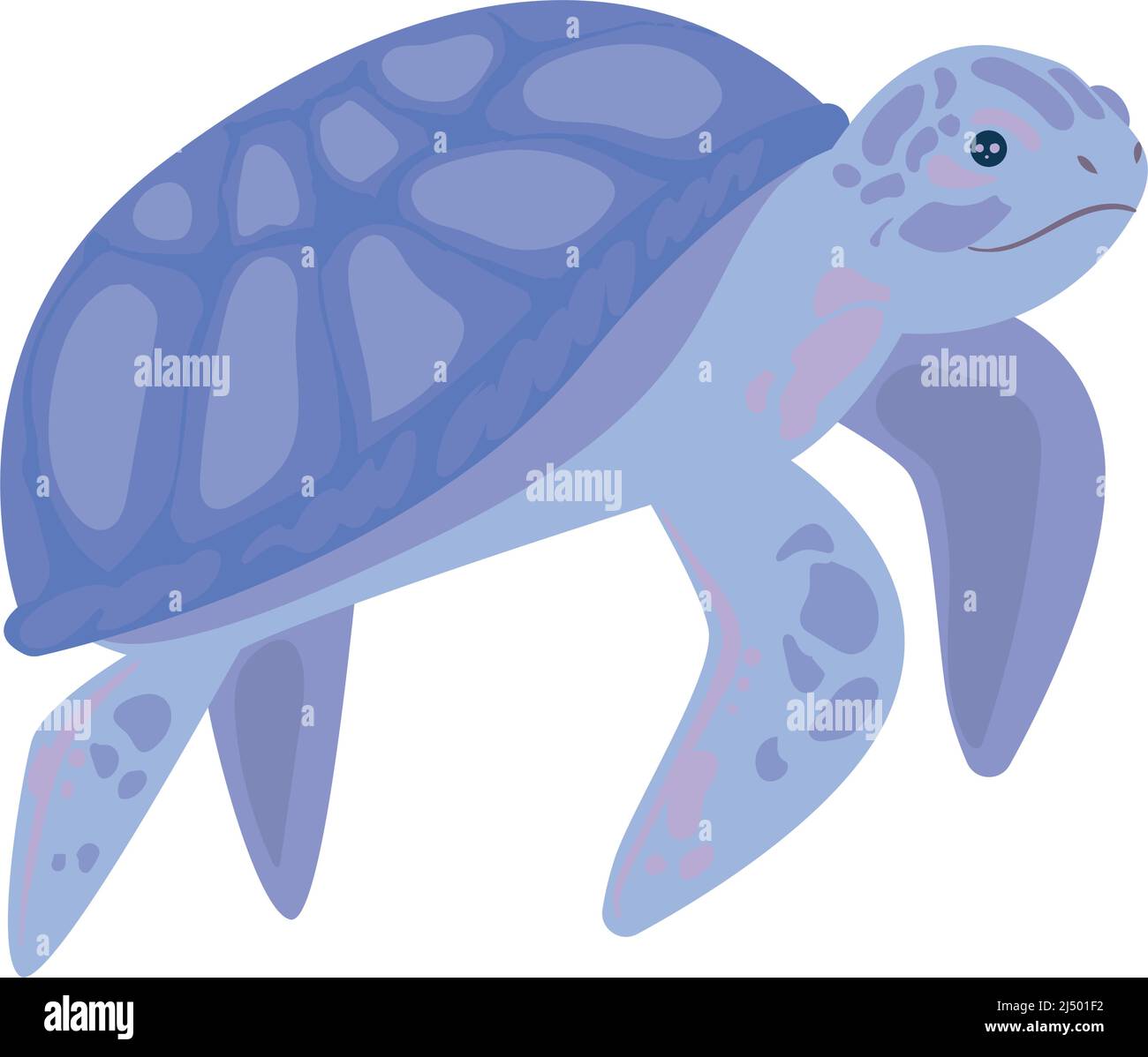 blue turtle design Stock Vector Image & Art - Alamy