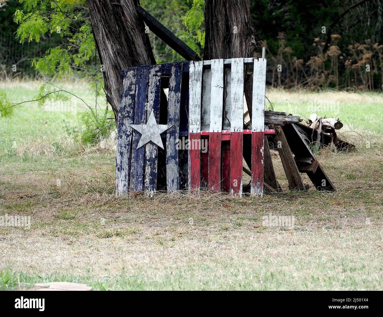 Painted texas flag hi-res stock photography and images - Alamy