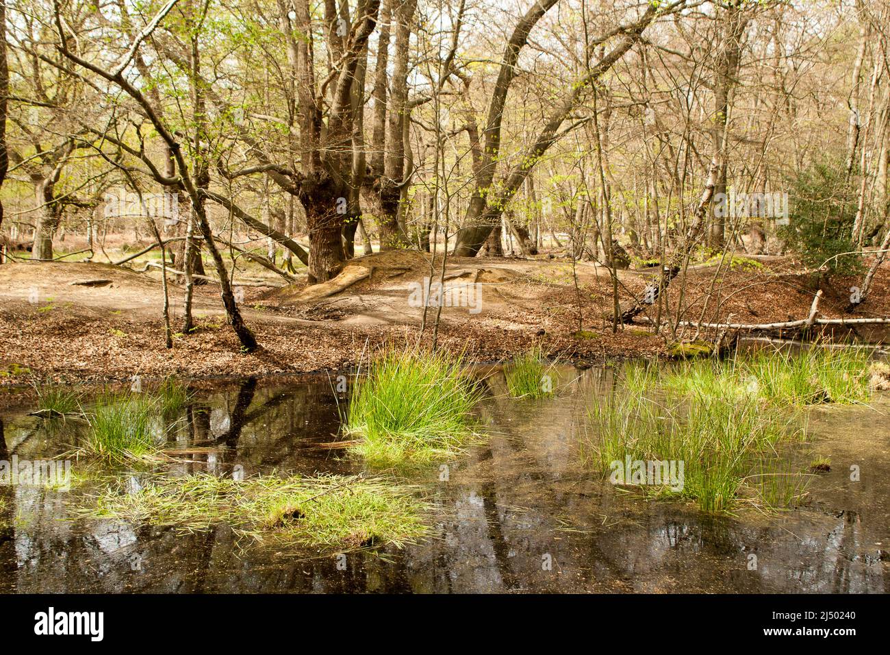 Surface water flooding hi-res stock photography and images - Alamy