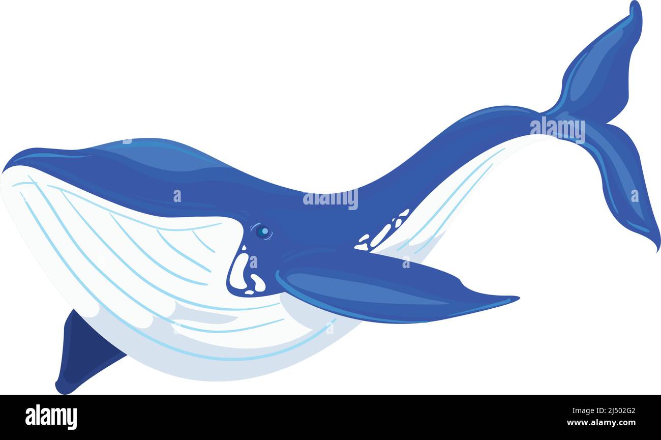 blue whale design Stock Vector Image & Art - Alamy
