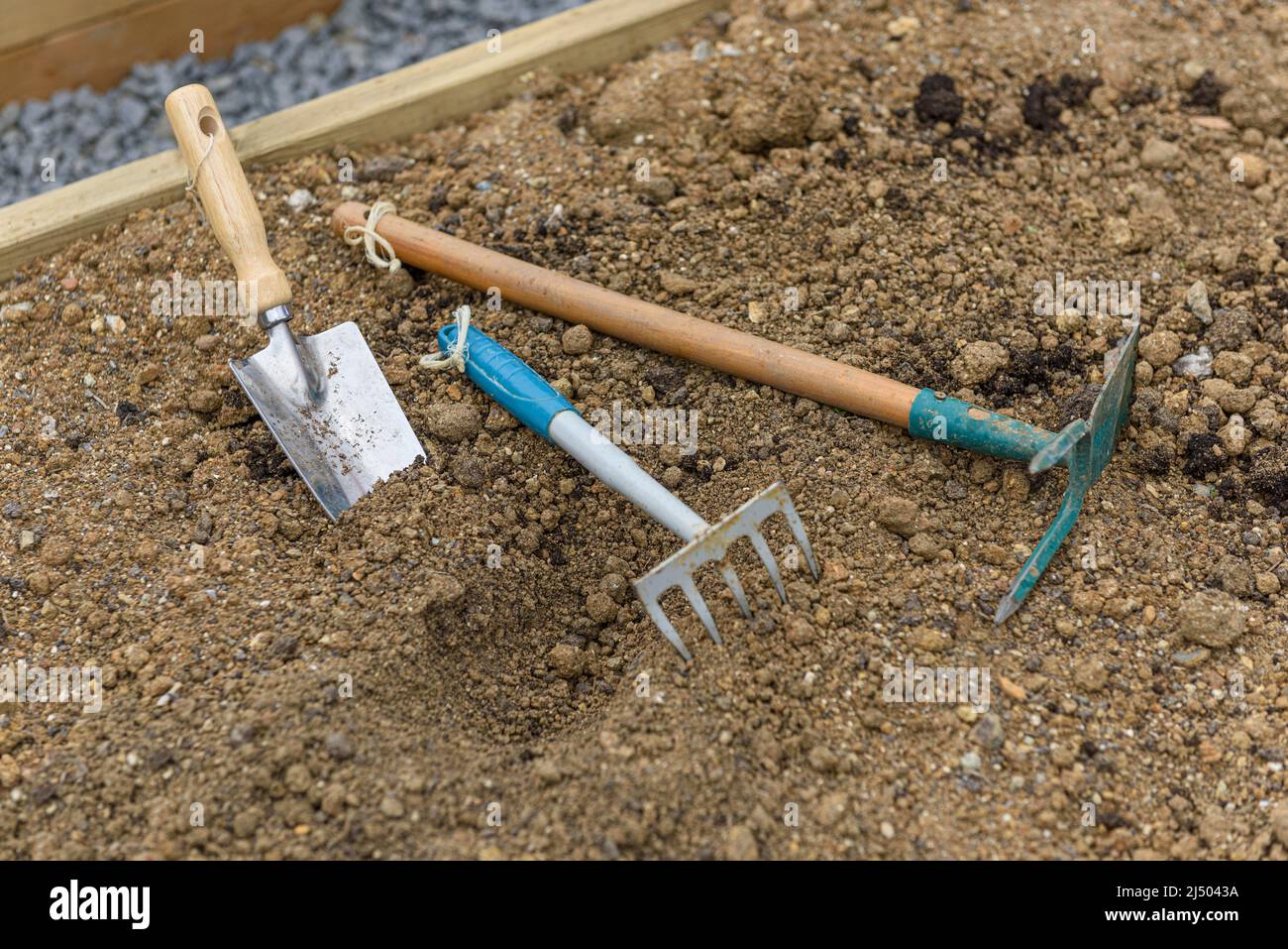 Garden tools, fresh young sprouts, seedling. Gardening concept ...