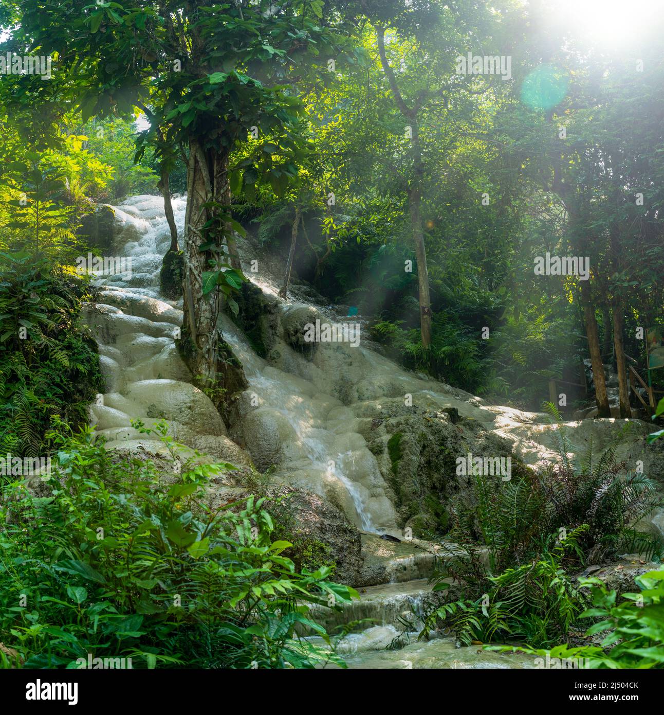 Jungle waterfall hi-res stock photography and images - Alamy