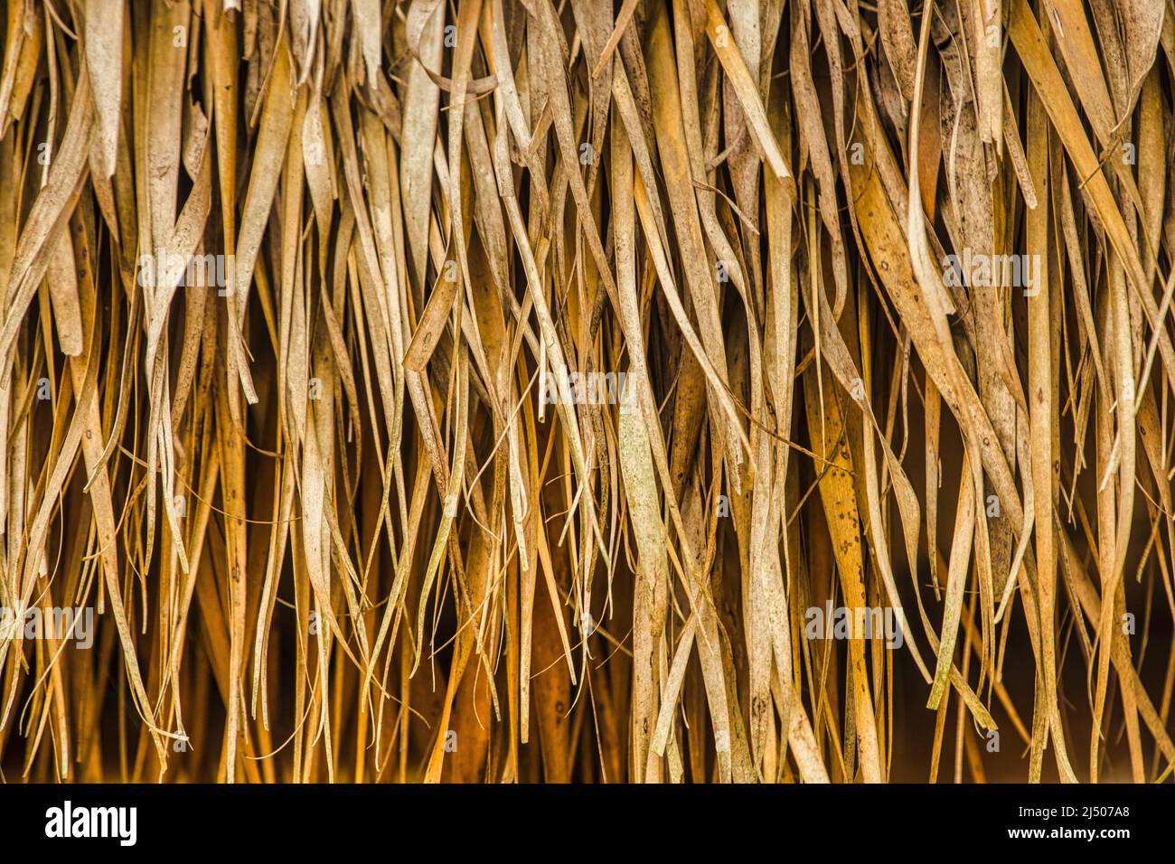 Flori hut hi-res stock photography and images - Alamy