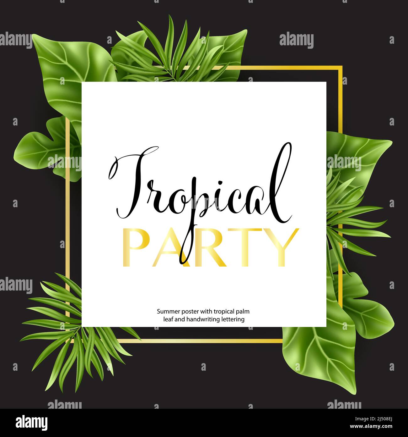 Tropical palm leaf isolated on black background. Realistic green summer ...