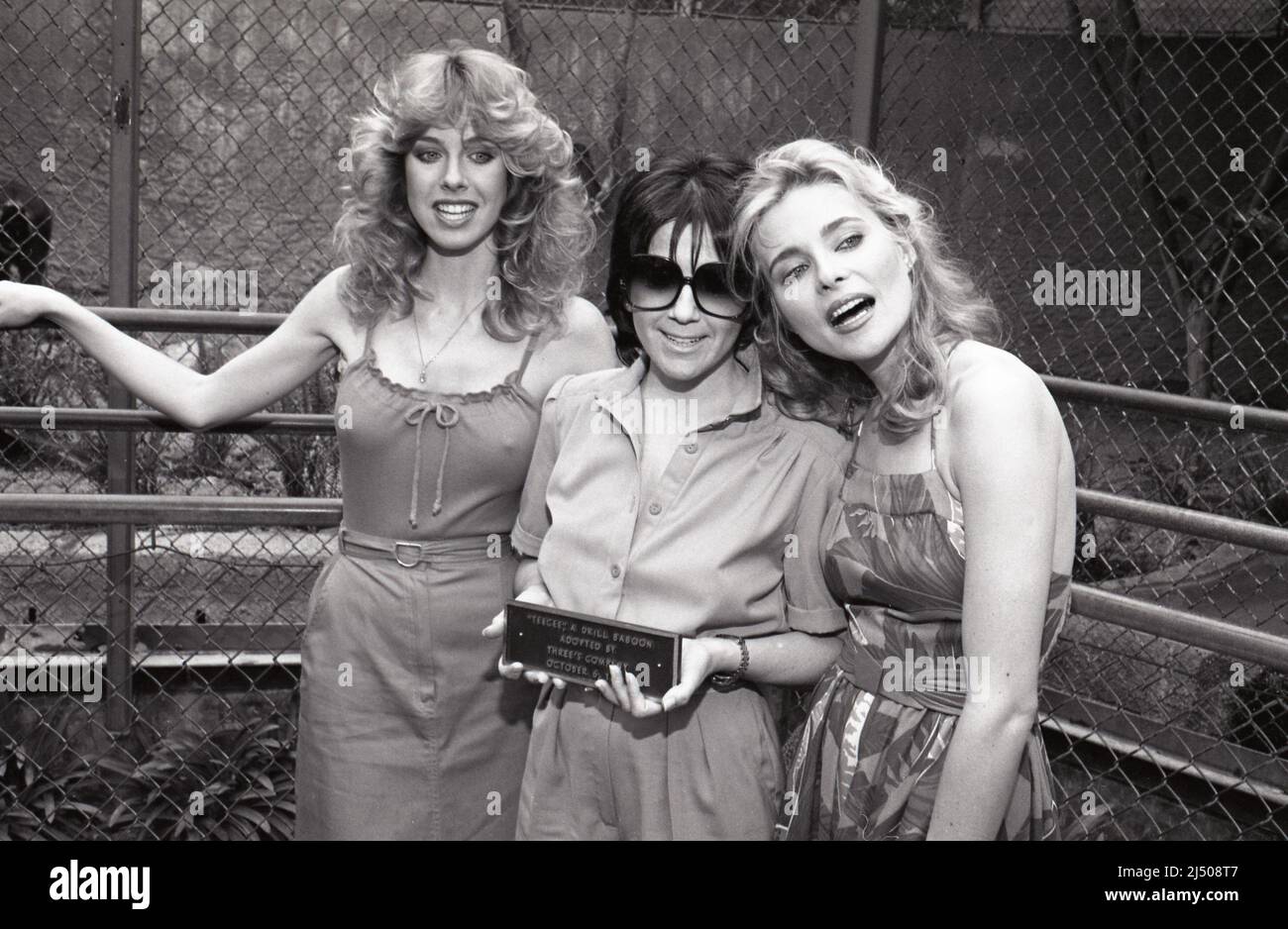 Jenilee Harrison, Joyce DeWitt and Priscilla Barnes pictured as the ...