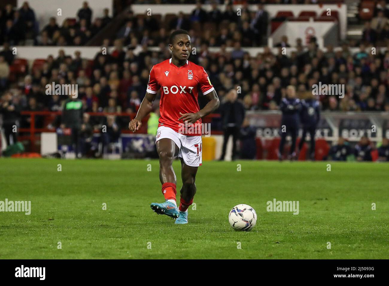 Richie laryea forest hi-res stock photography and images - Alamy