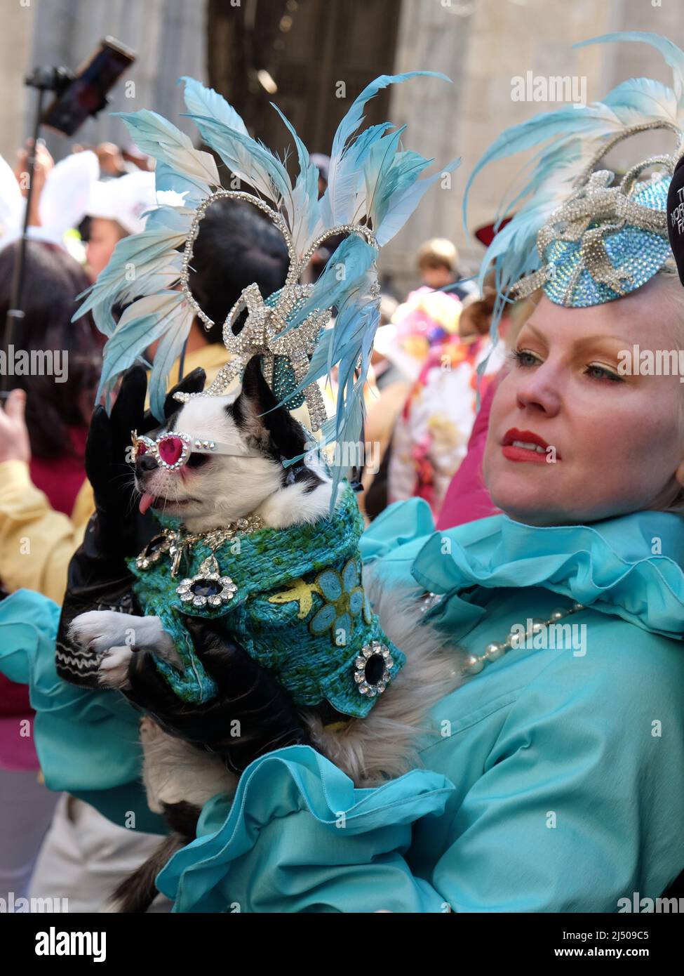 Easter parade dog hi-res stock photography and images - Alamy