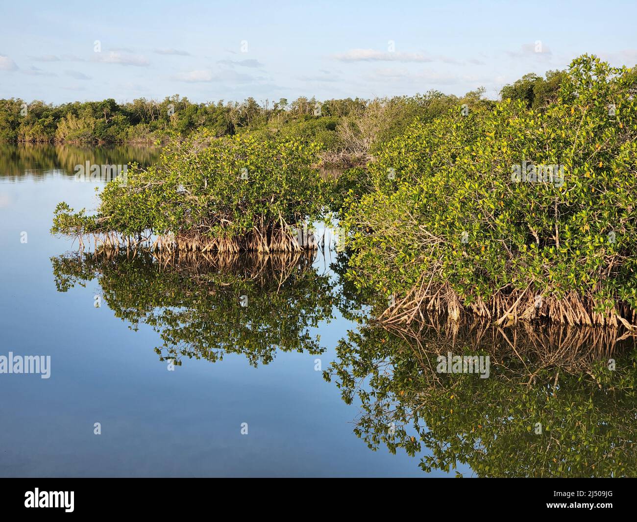 Everglades wetlands aerial hi-res stock photography and images - Alamy