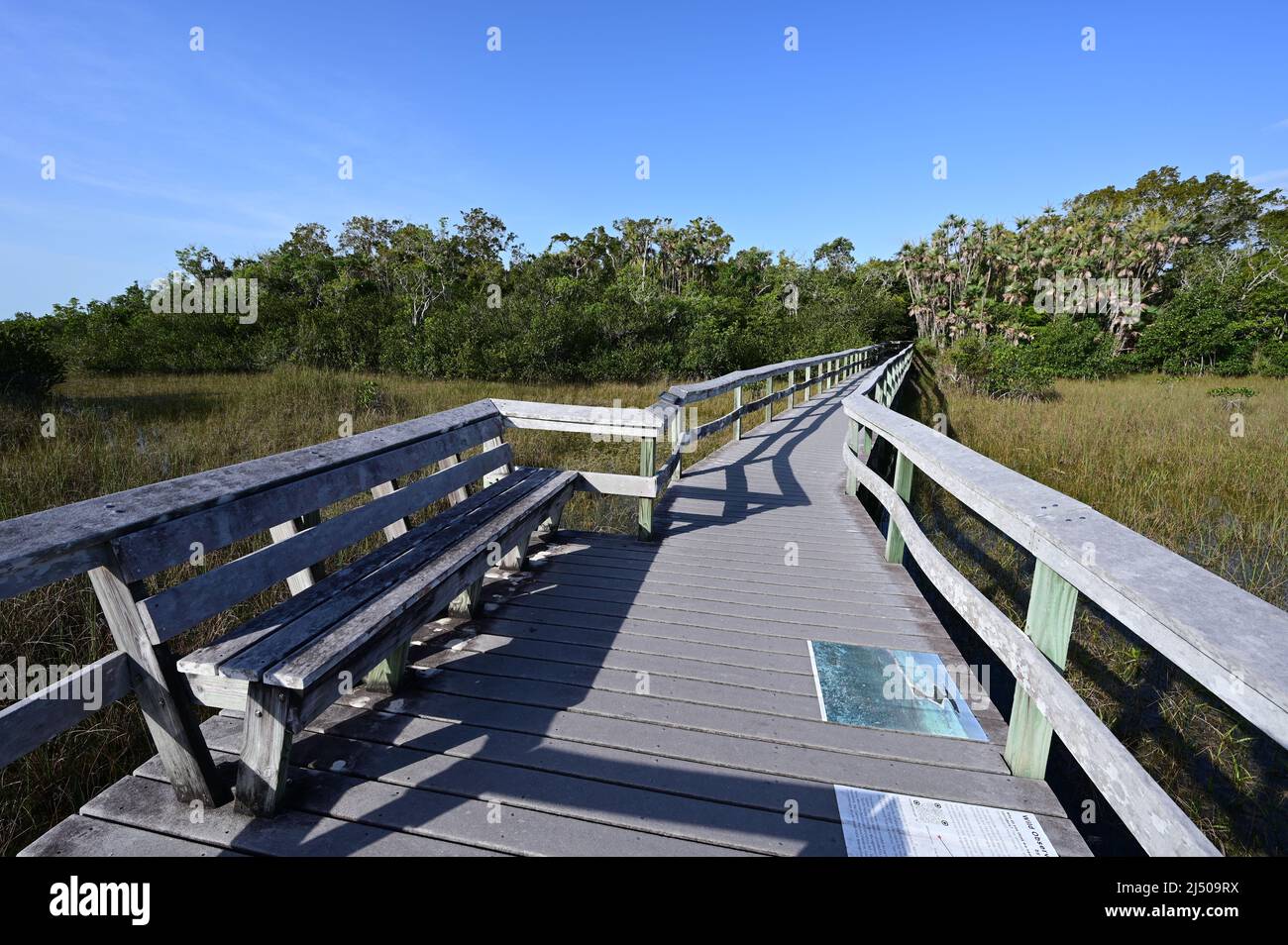 Mahogany Hammock boardwalk through natural hardwood hammock in ...