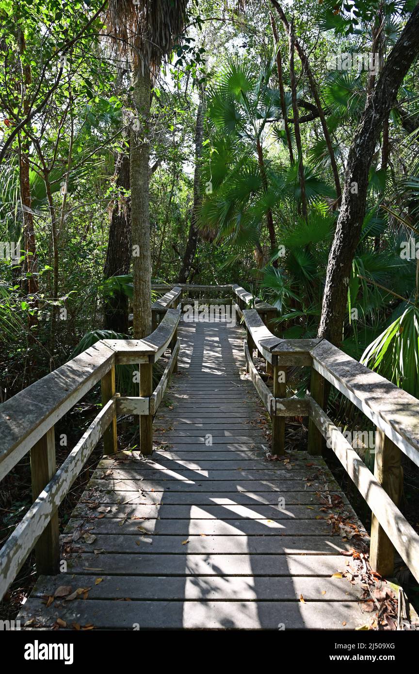 Hardwood hammock hi-res stock photography and images - Alamy