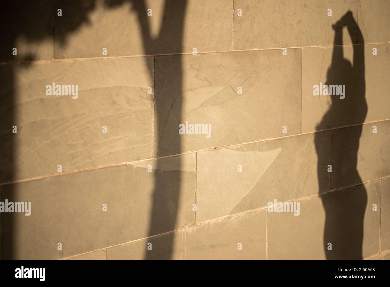 Young female health related poses with shadows Stock Photo - Alamy