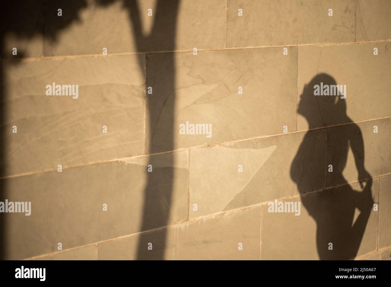 Young female health related poses with shadows Stock Photo - Alamy