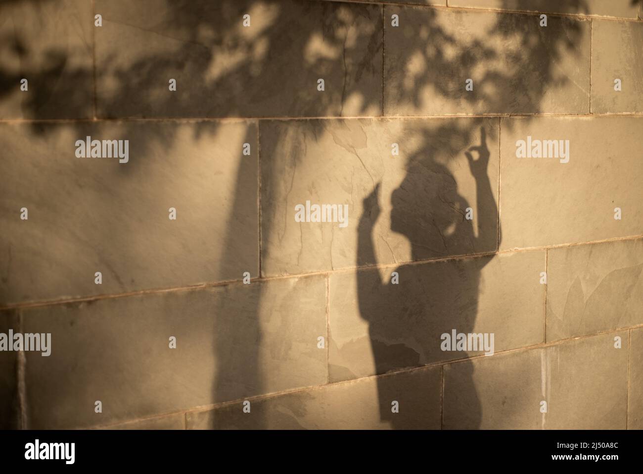 Young female health related poses with shadows Stock Photo - Alamy