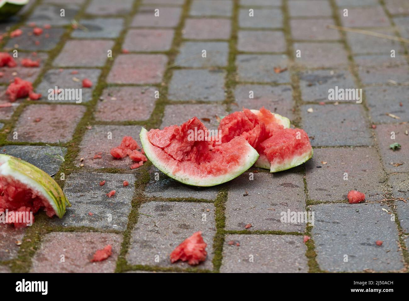 Dropped watermelon on the ground Stock Photo - Alamy