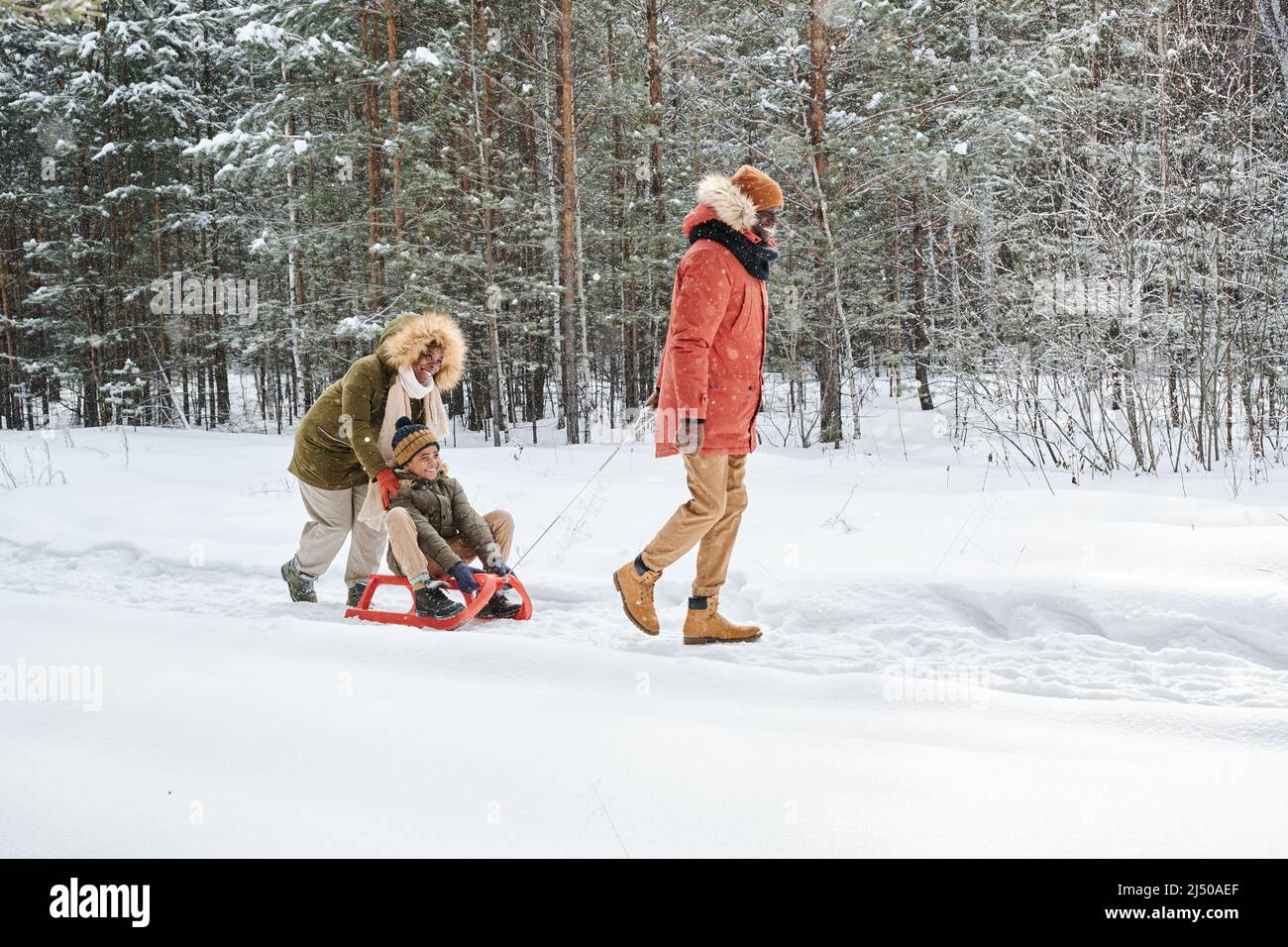 Boy pines hi-res stock photography and images - Alamy