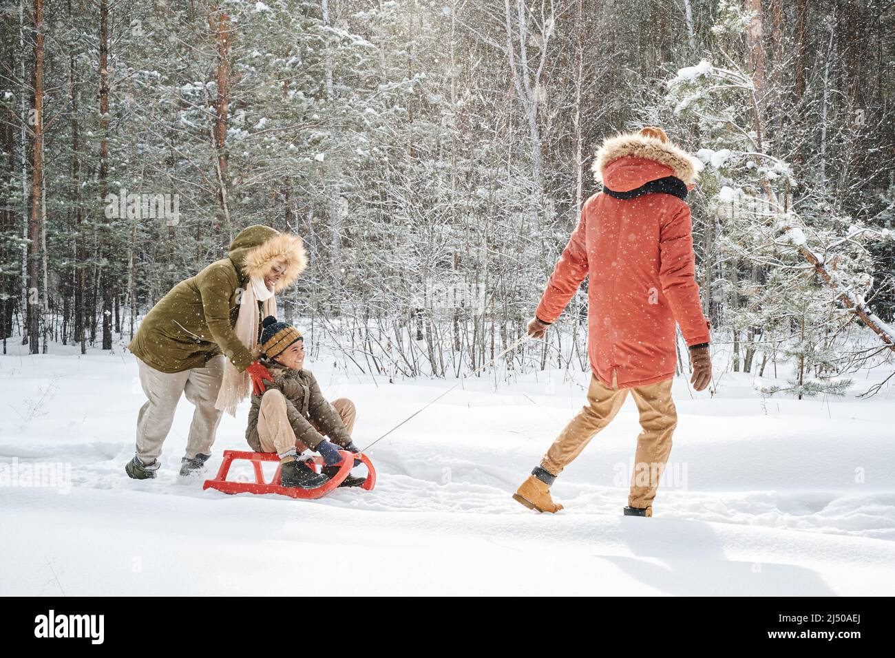 Young black woman pushing sledge with her happy little son while man in ...