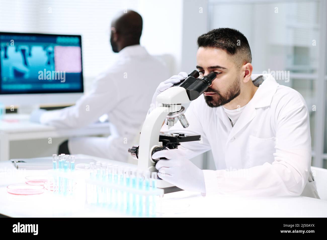 Young serious male chemist in whitecoat and gloves looking in ...