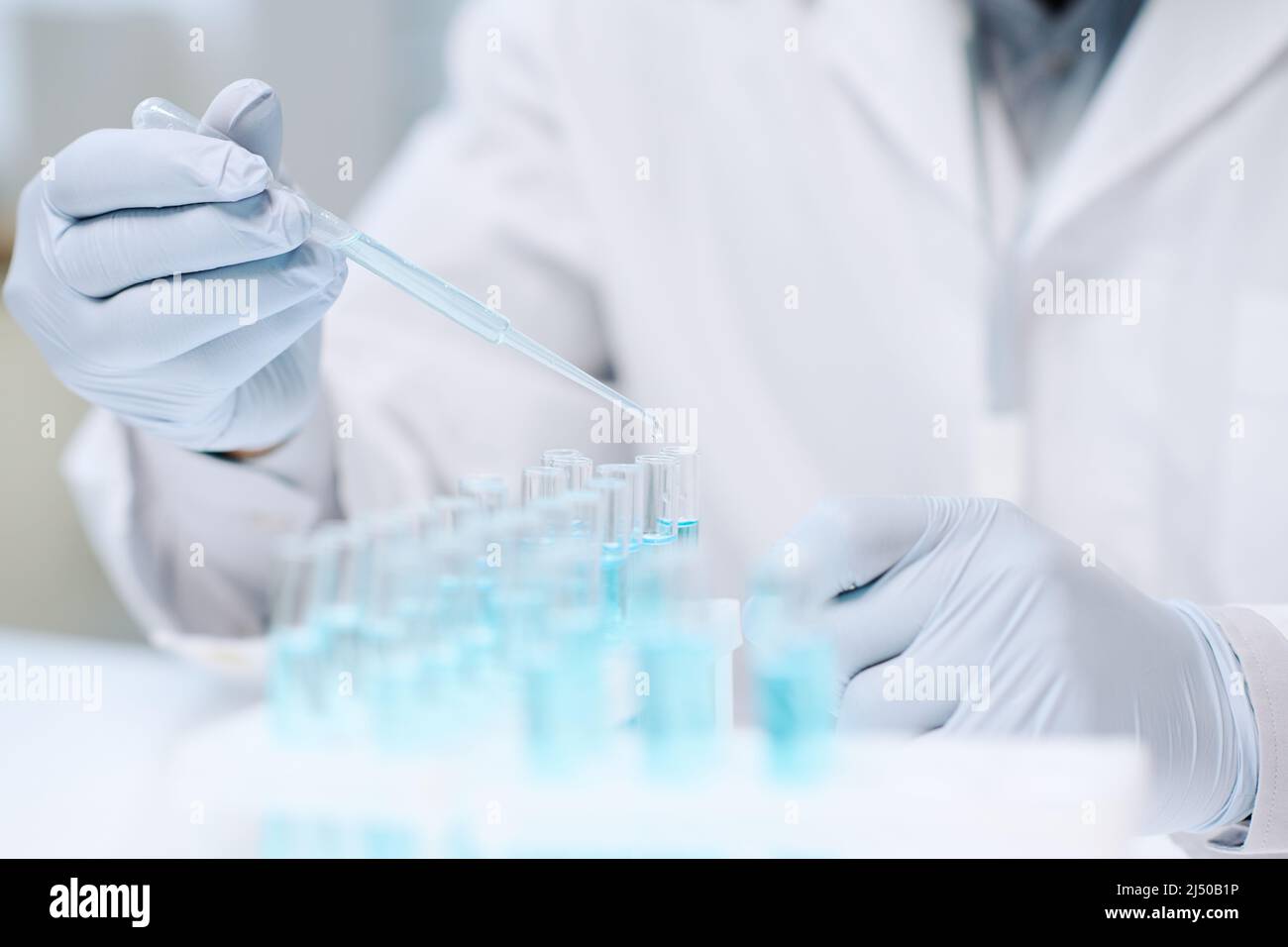 Gloved hands of male scientist in whitecoat holding pipette over one of ...