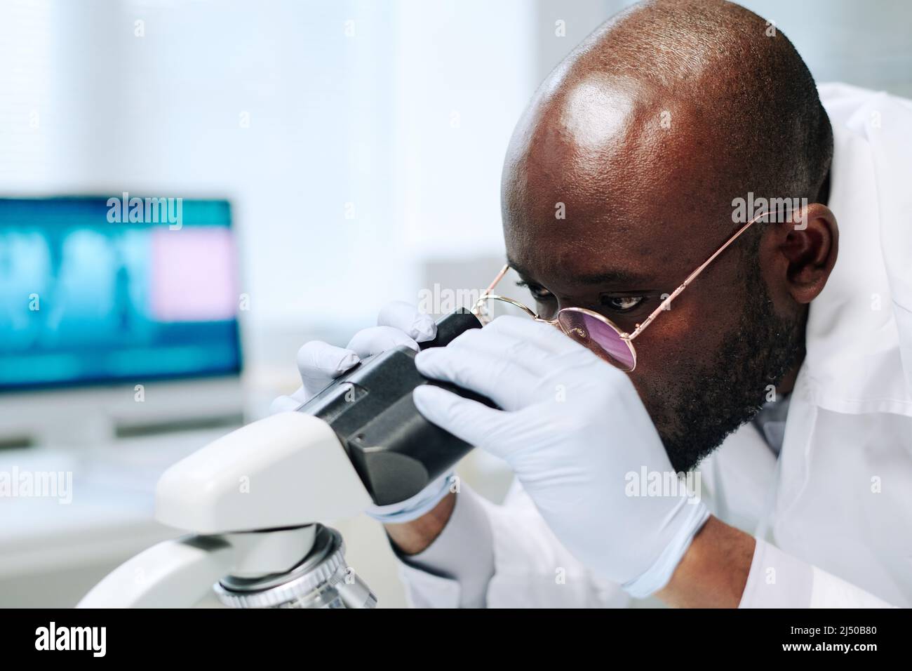 Microscope looking bacteria hi-res stock photography and images - Alamy