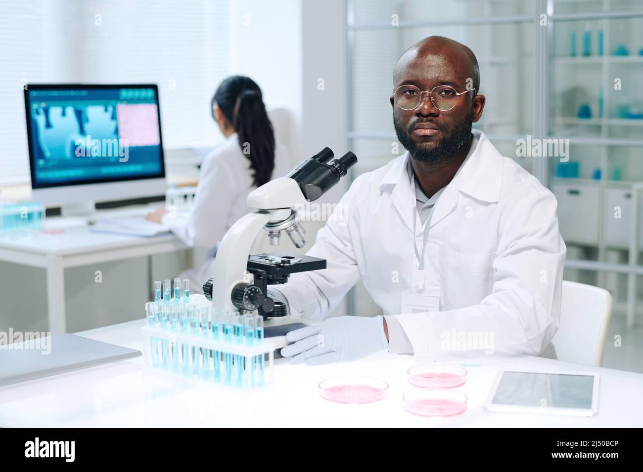 Scientist work looking in microscope hi-res stock photography and ...