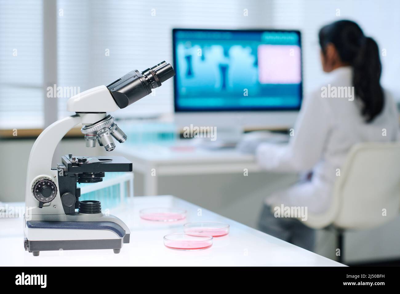 Microscope and group of petri dishes on desk against female scientific ...