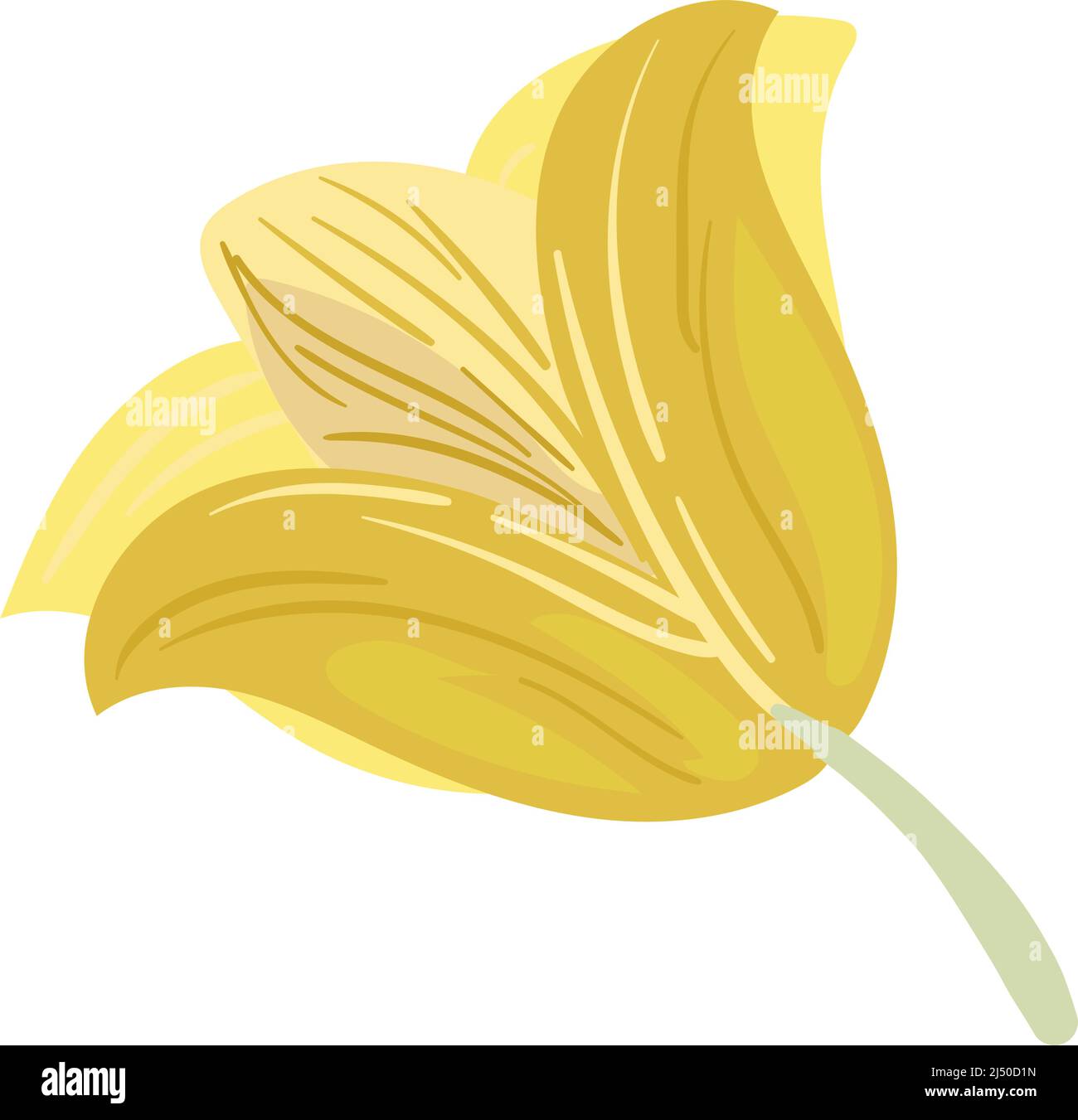 yellow lily design Stock Vector Image & Art - Alamy