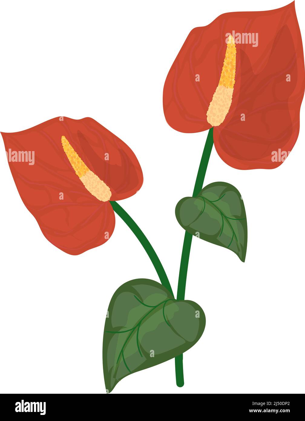 red orchids design Stock Vector Image & Art - Alamy