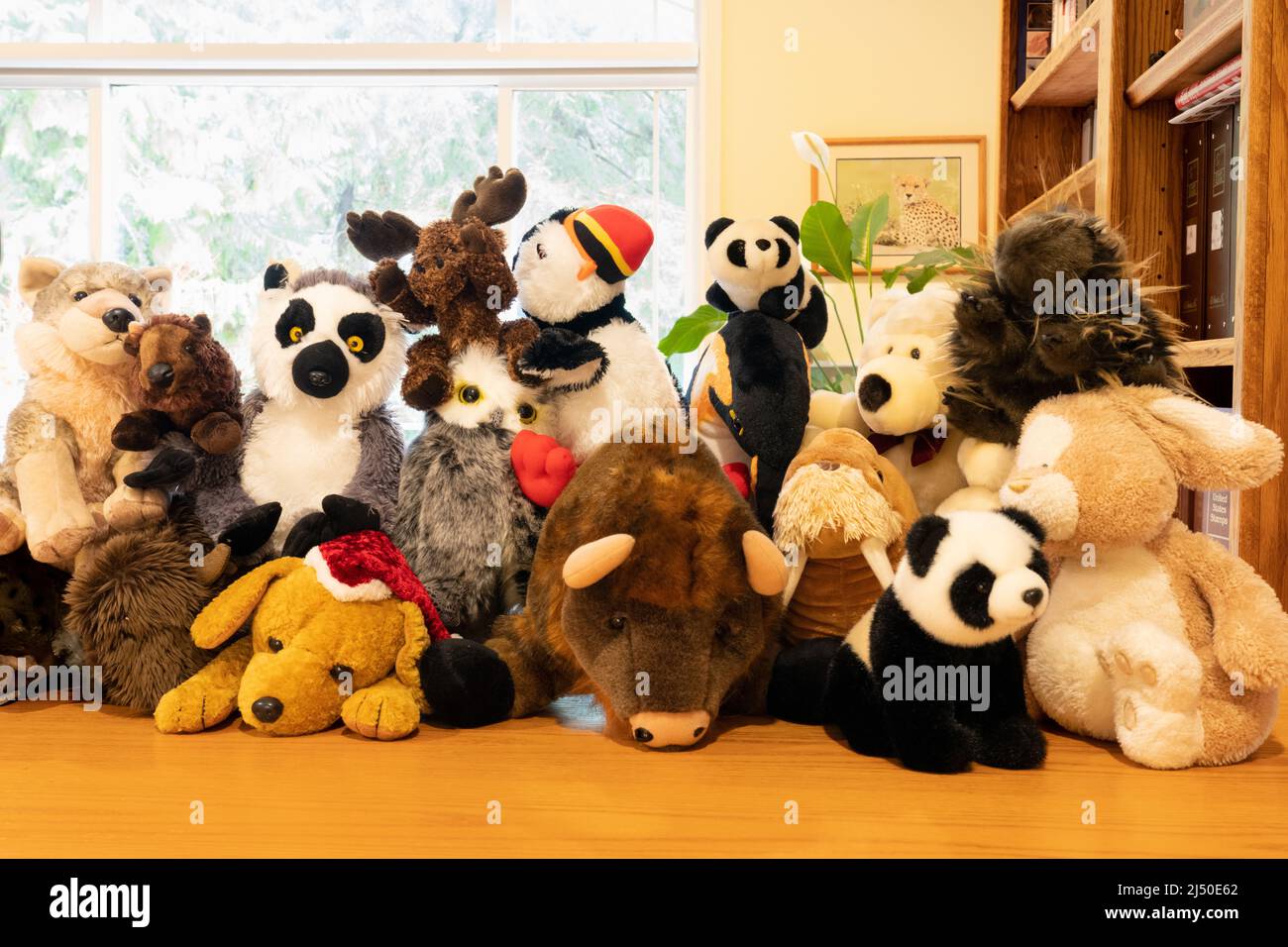 Stuffed animals trying to form a pyramid on a wooden table in an office ...