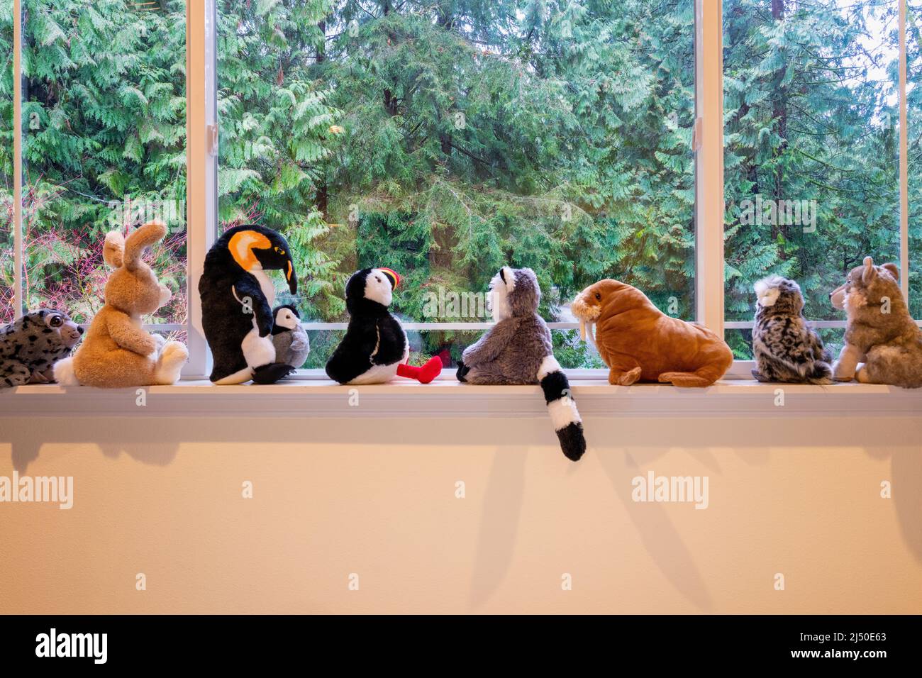 Stuffed animals sitting on a sill, staring out of the window at a ...