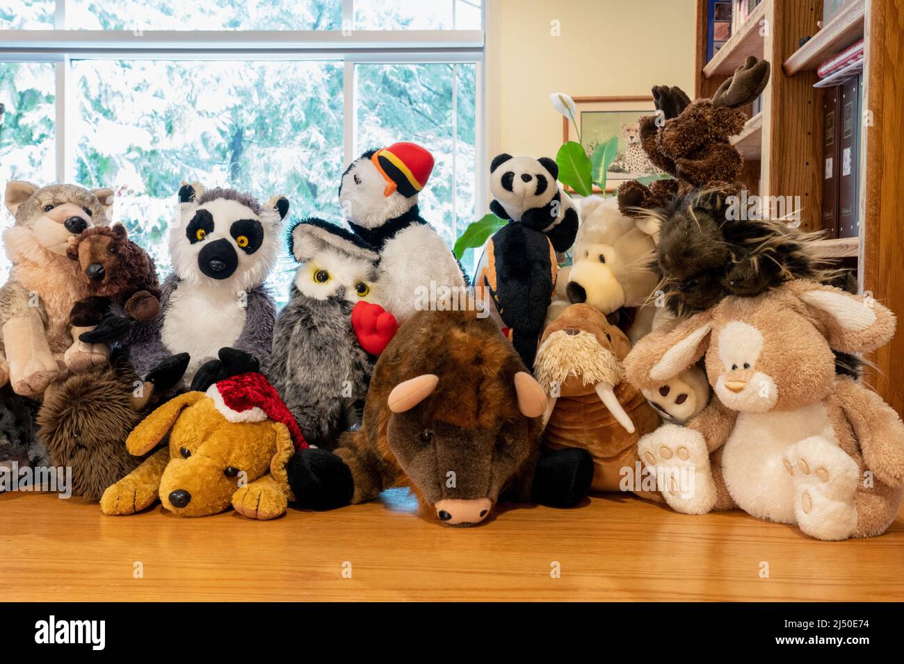 Stuffed animals trying to form a pyramid on a wooden table in an office ...
