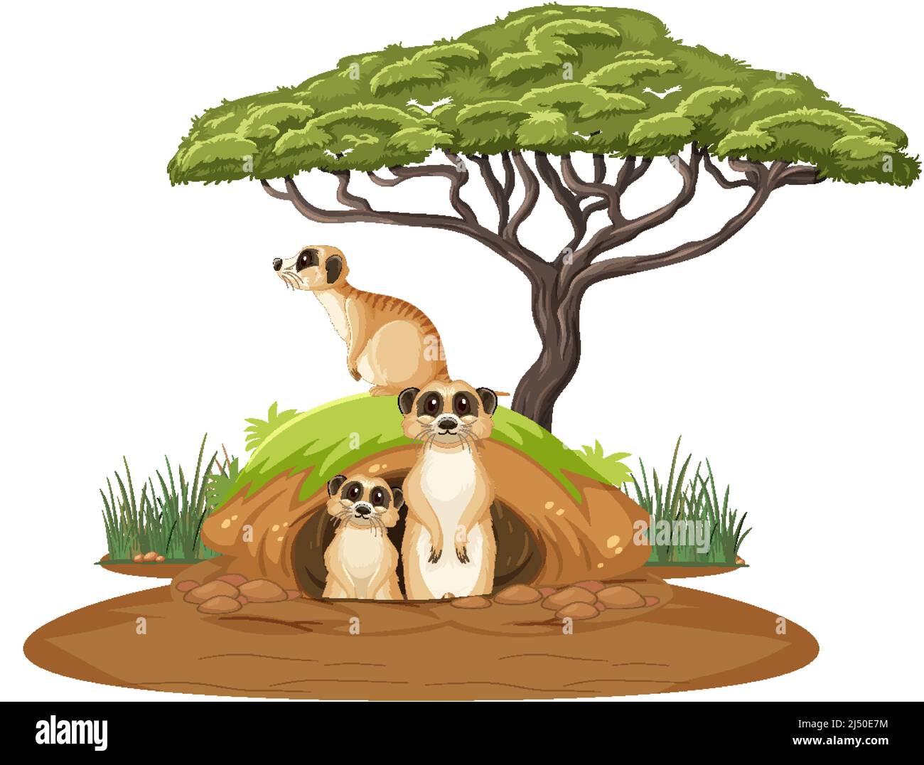 Underground burrow illustration Cut Out Stock Images & Pictures - Alamy