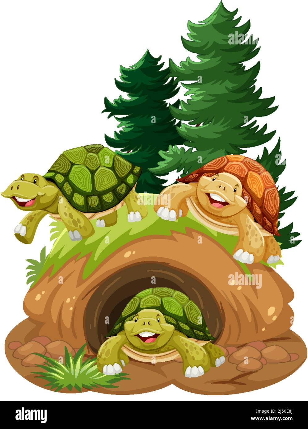 Group of tortoises in burrow illustration Stock Vector Image & Art - Alamy