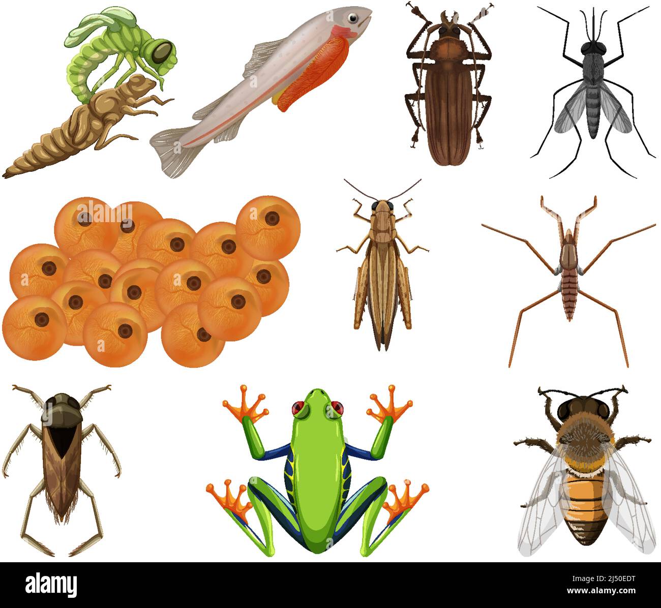 Different kinds of insects and animals on white background illustration ...