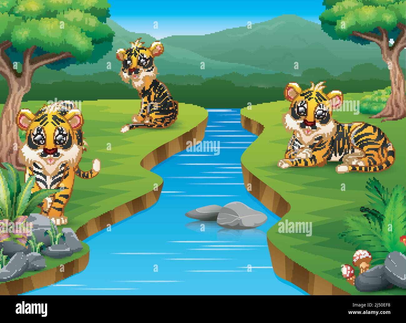 Tiger on river rocks hi-res stock photography and images - Alamy