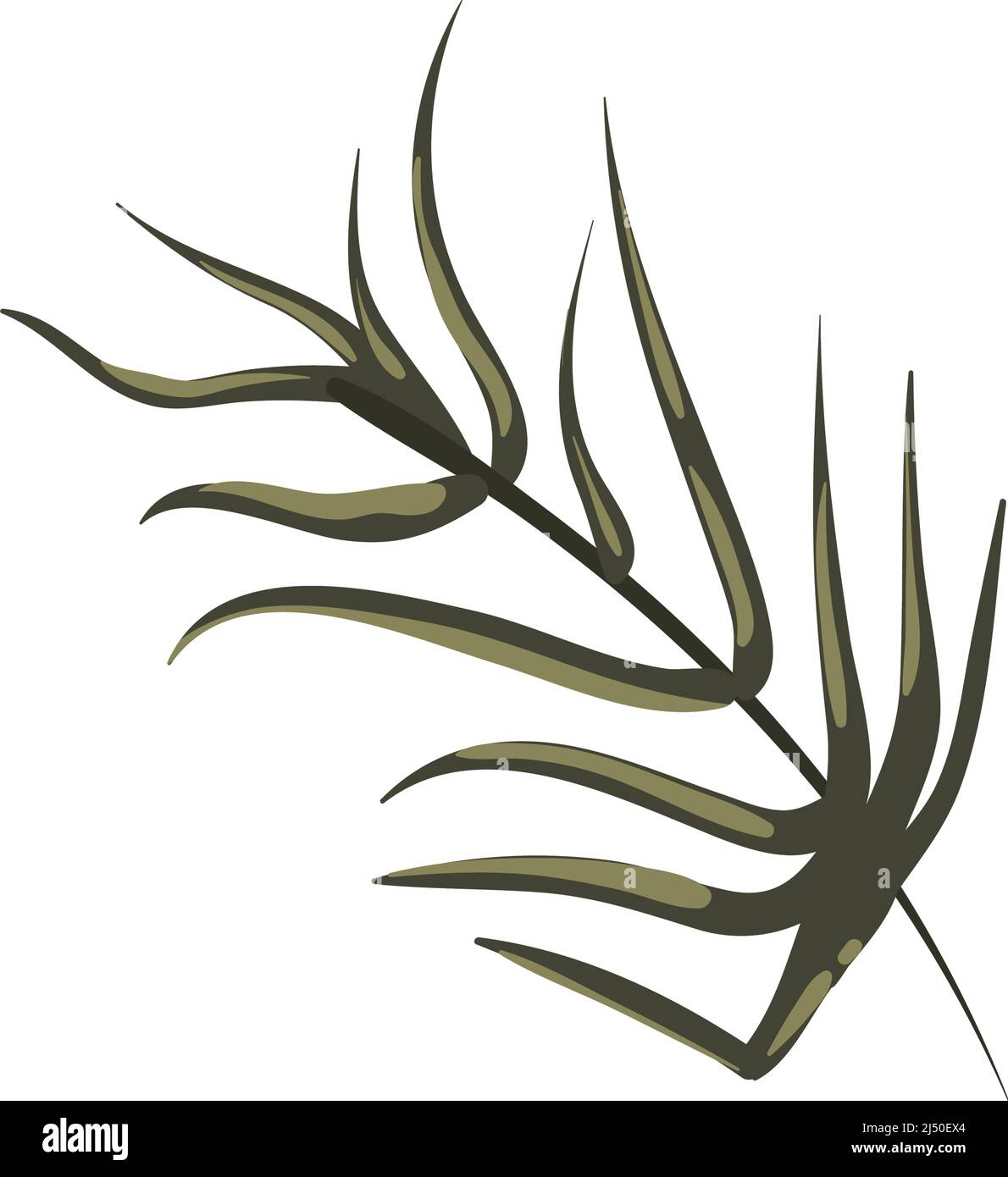 plant branch design Stock Vector Image & Art - Alamy